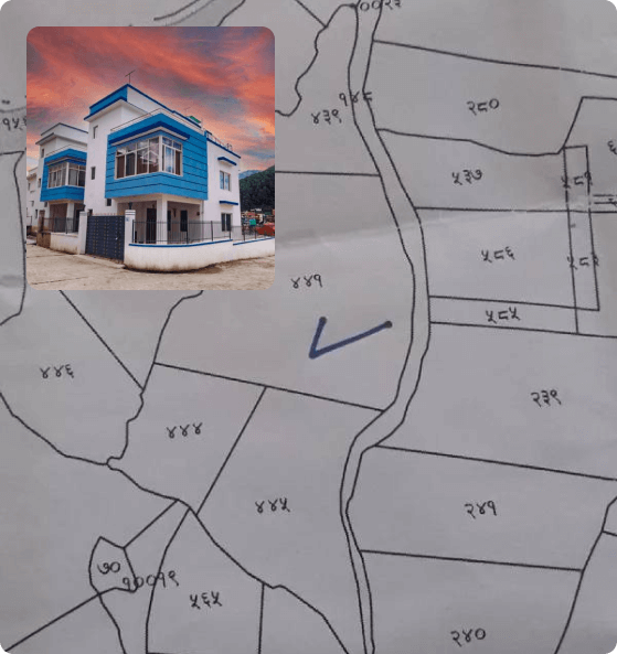 MAYAHOLD Group - We believe that every business is important